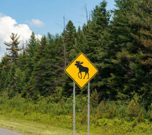 Animal Crossing Signs - Alumetal